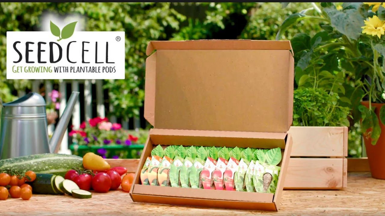 Seedcell Seed Pod - YouTube