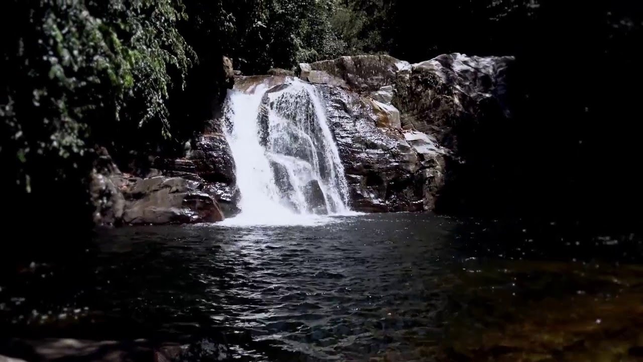 Sinharaja Forest Reserve, Sri Lanka - YouTube