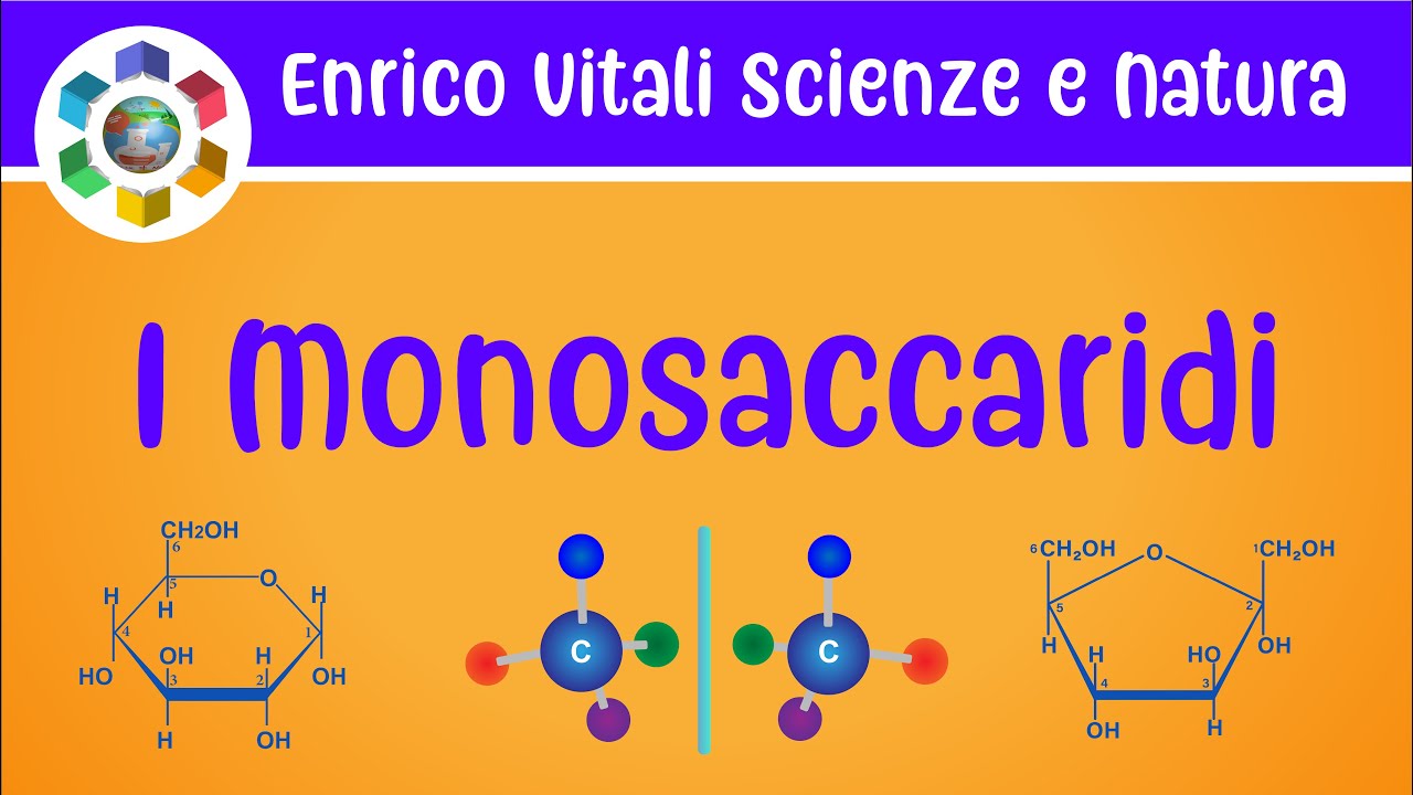 I MONOSACCARIDI: classificazione, isomeria, forme anomeriche del ...