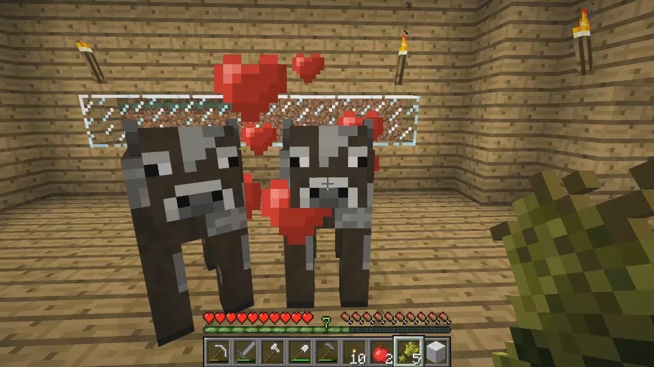 Animal Breeder!! (Minecraft Survival) Ep.3 - YouTube
