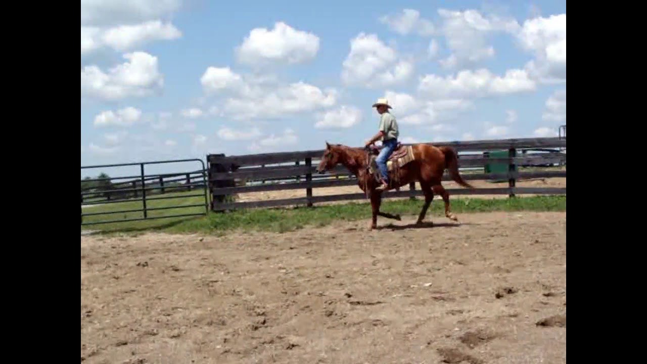2015 AQHA MARE, PEPPY SAN BADGER & HOLLYWOOD DUN IT ON PAPERS, REINING ...