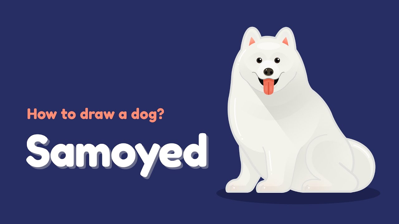 How to draw a dog - Samoyed? Easy and simple drawing | Animal character ...