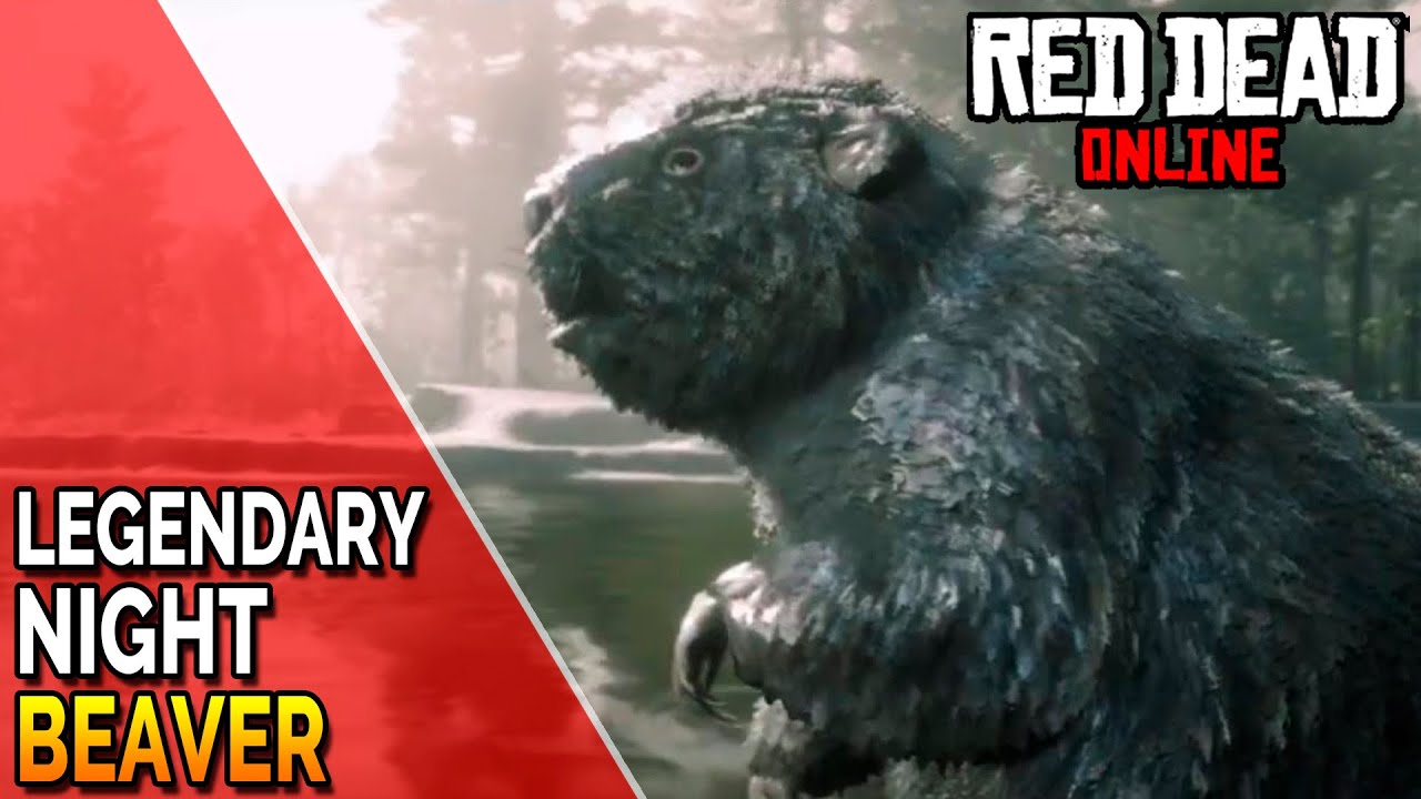 HOW TO TRACK THE LEGENDARY NIGHT BEAVER As A Naturalist In Red Dead ...