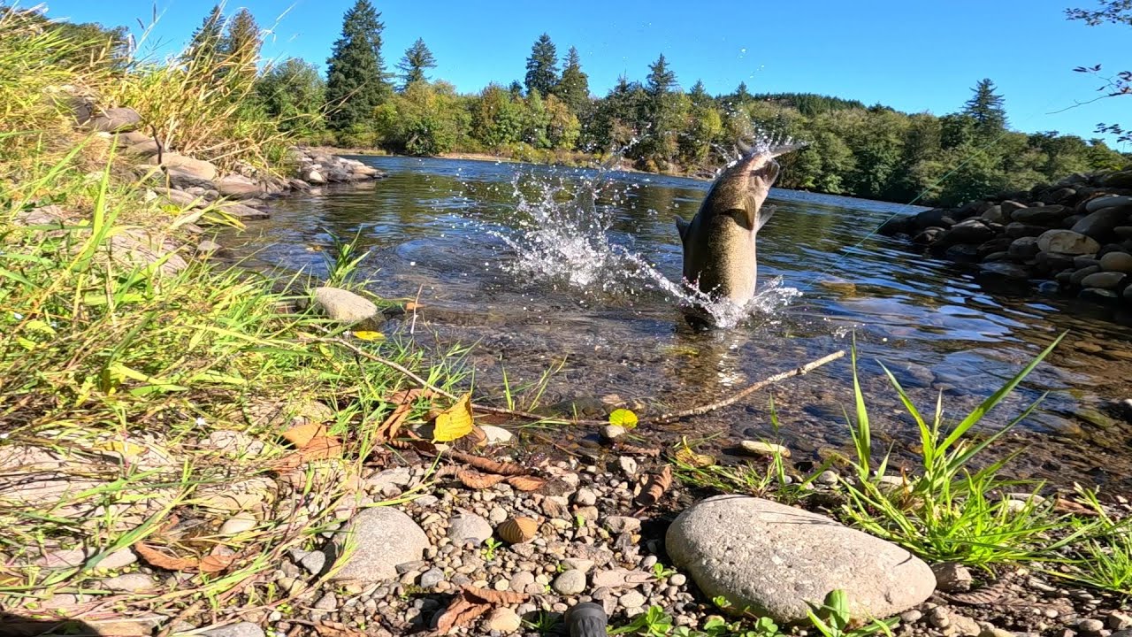 Cowlitz River Bank Fishing - YouTube