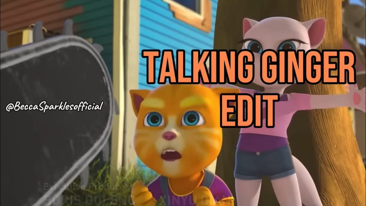 Talking Ginger edit🧡 - YouTube