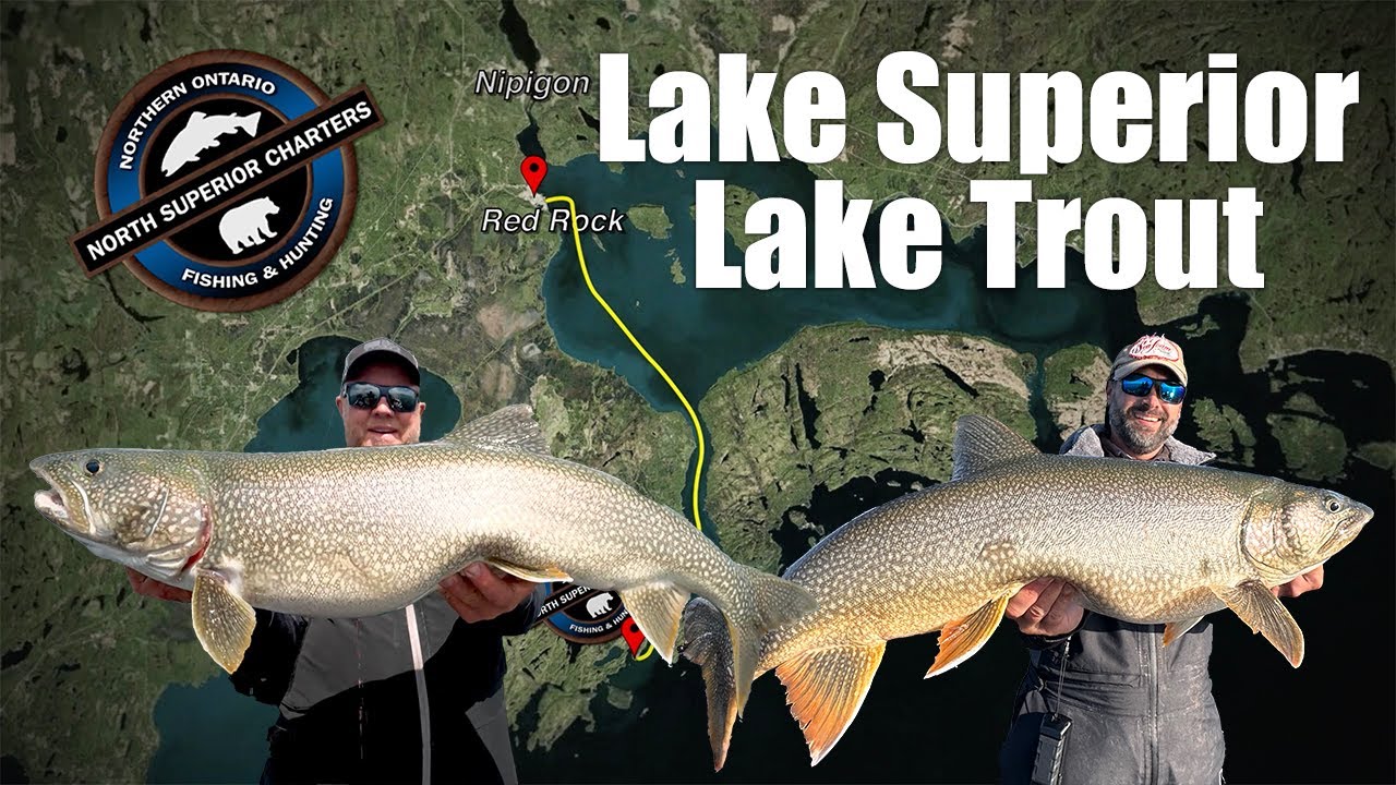 Amazing Lake Superior Lake Trout - YouTube