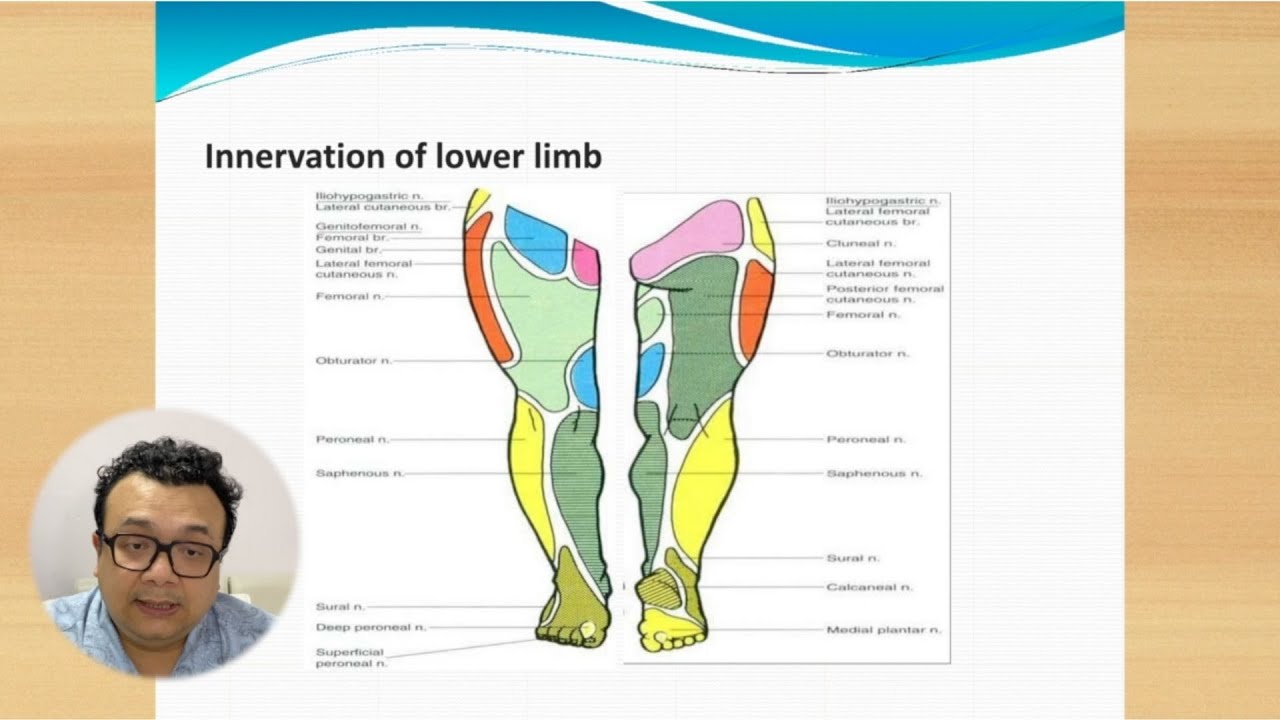 Part 3 : Lower Limb Regional Anaesthesia - YouTube