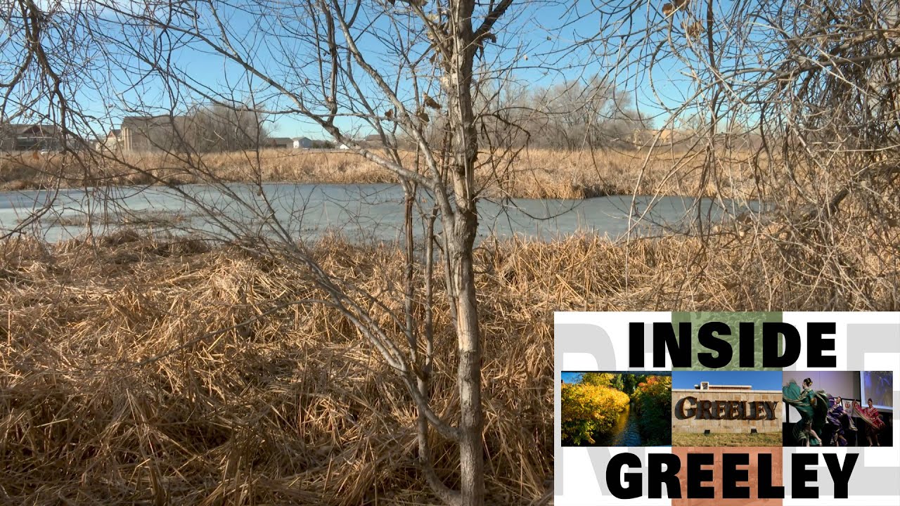Inside Greeley: Embracing Winter with Wildlife and Greeley's Natural ...