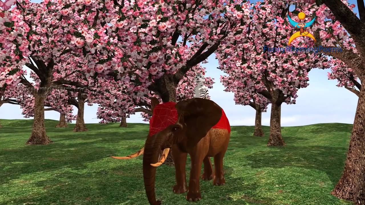3d cartoon animated finger family song | Finger family 3d rhymes - YouTube