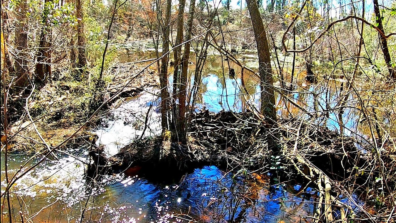 Mother Beaver Dam Number Three Has Collapsed! - YouTube