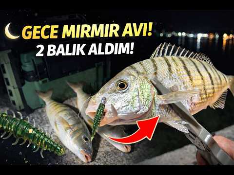 Gece Mırmır Avı 🌙 Mushi Dark Green İş Yaptı!