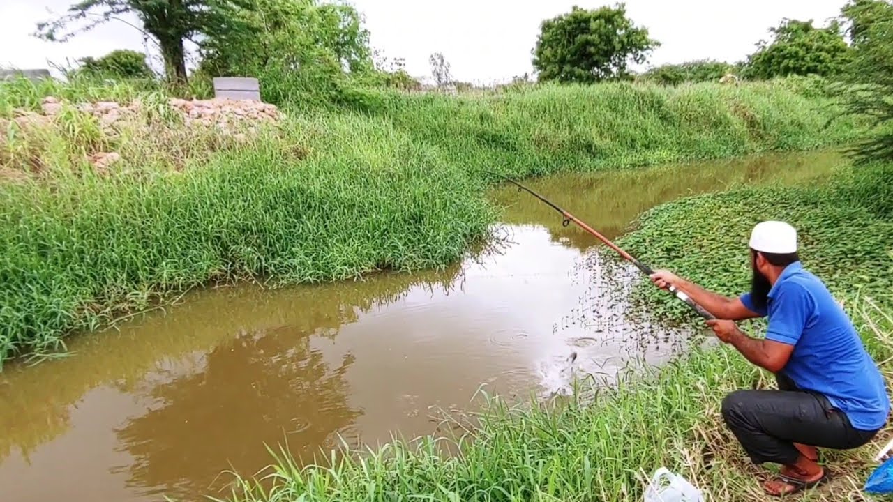 Fishing|Fisher Man Catching The Fishes In 2 Days| Catching Rohu Fishes ...