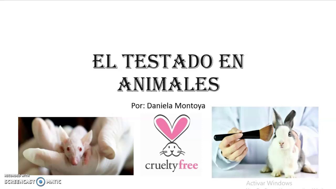 El testado en animales - YouTube