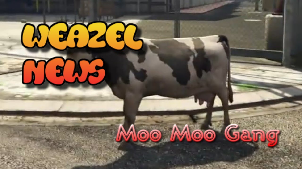 Weazel News - The Moo Moo Crew - KudosRP - YouTube