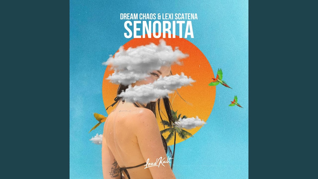 Senorita YouTube senorita-youtube