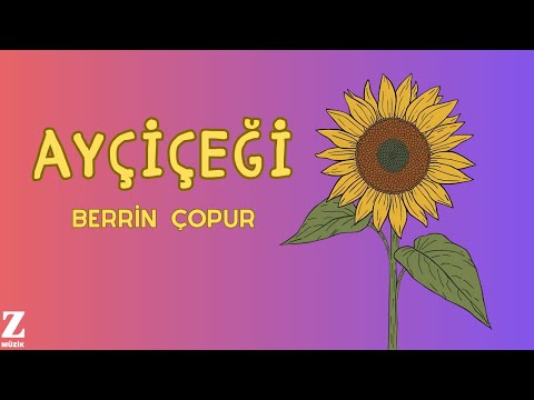 Berrin Çopur  - Ayçiçeği I Pırlangıç  © 2016 Z Kalan Müzik
