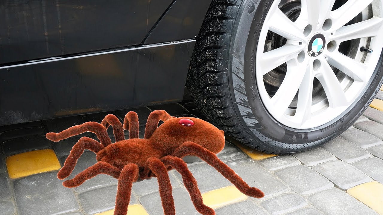 Crushing Crunchy & Soft Things by Car! EXPERIMENT CAR vs Gigantic ...