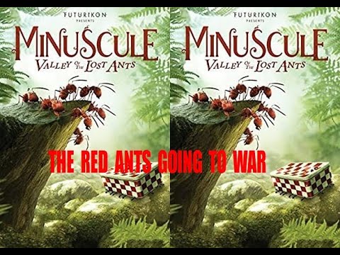 The Red Ants Going To War - (Minuscule, Valley of the Lost Ants) - YouTube