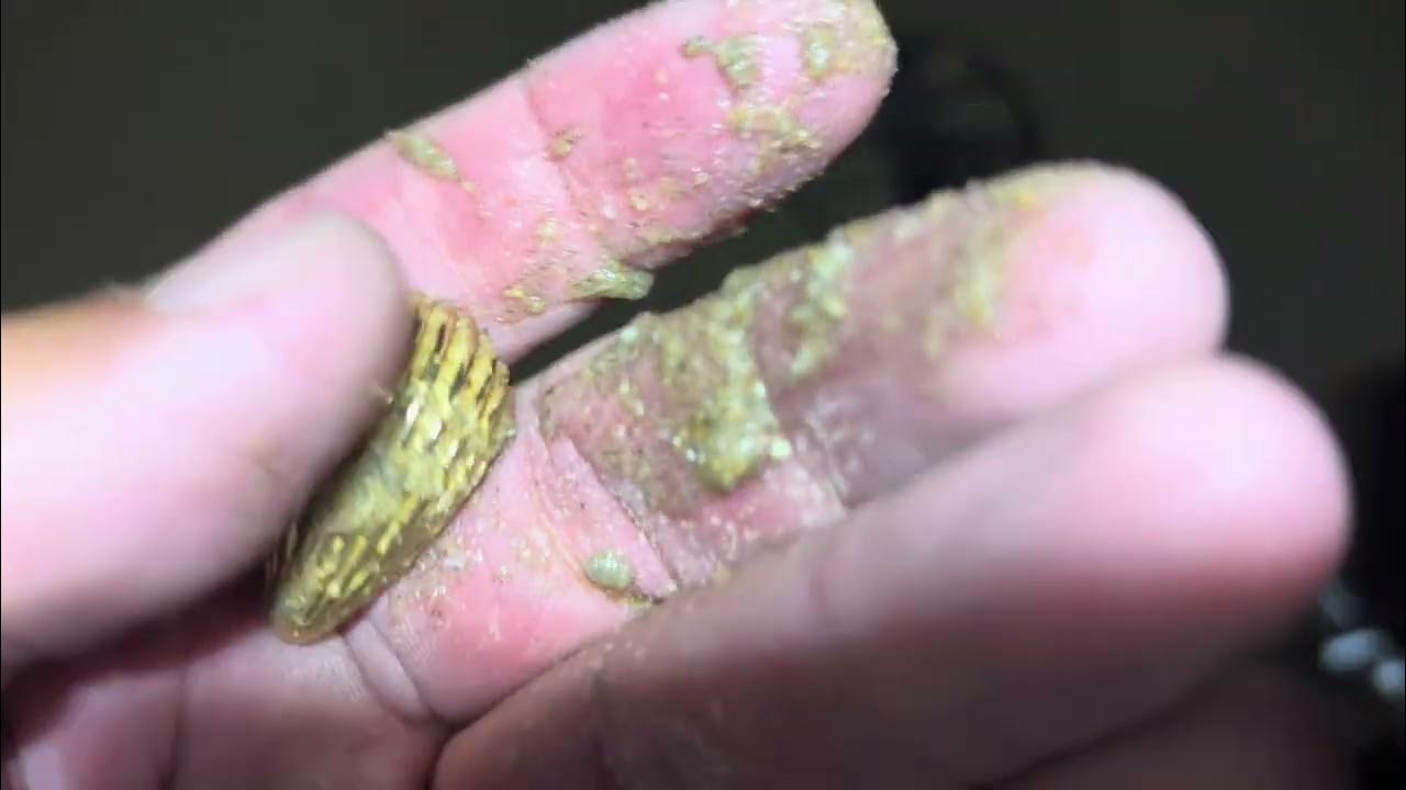 Beach Metal Detecting Southern California, jewelry found - YouTube