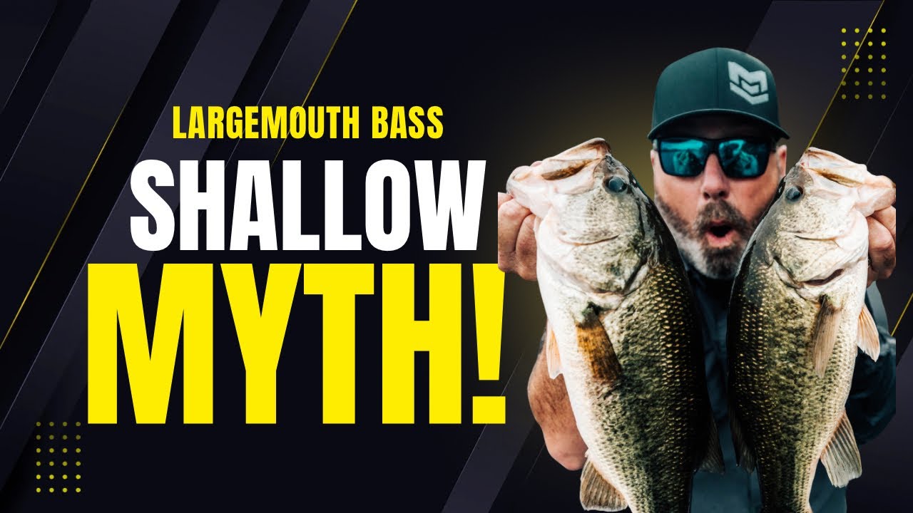 Why Shallow Bass Are Easier Than You Think - Dave Mercer's Facts of ...