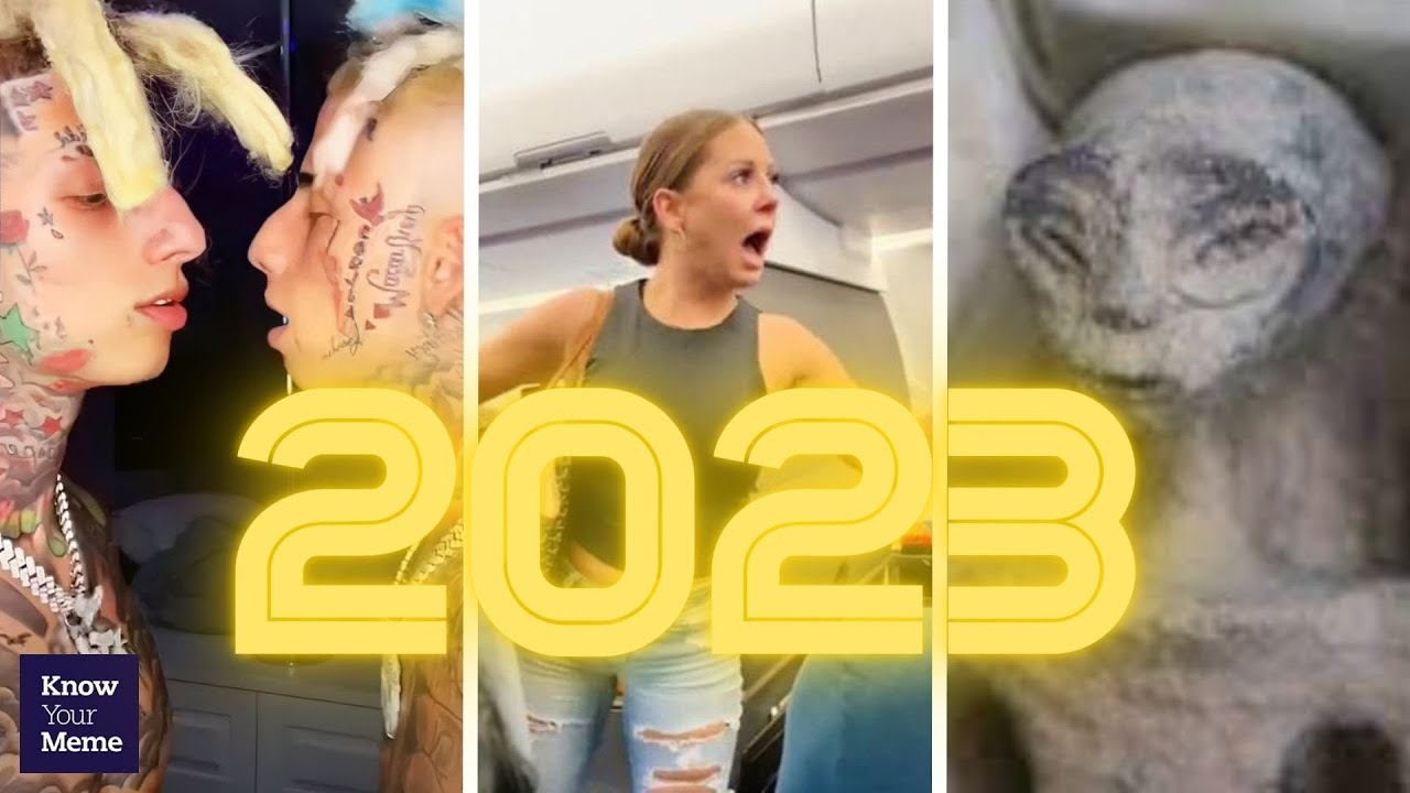 The Wackiest Stories Of 2023: From the "Not Real" Plane Lady, To ...