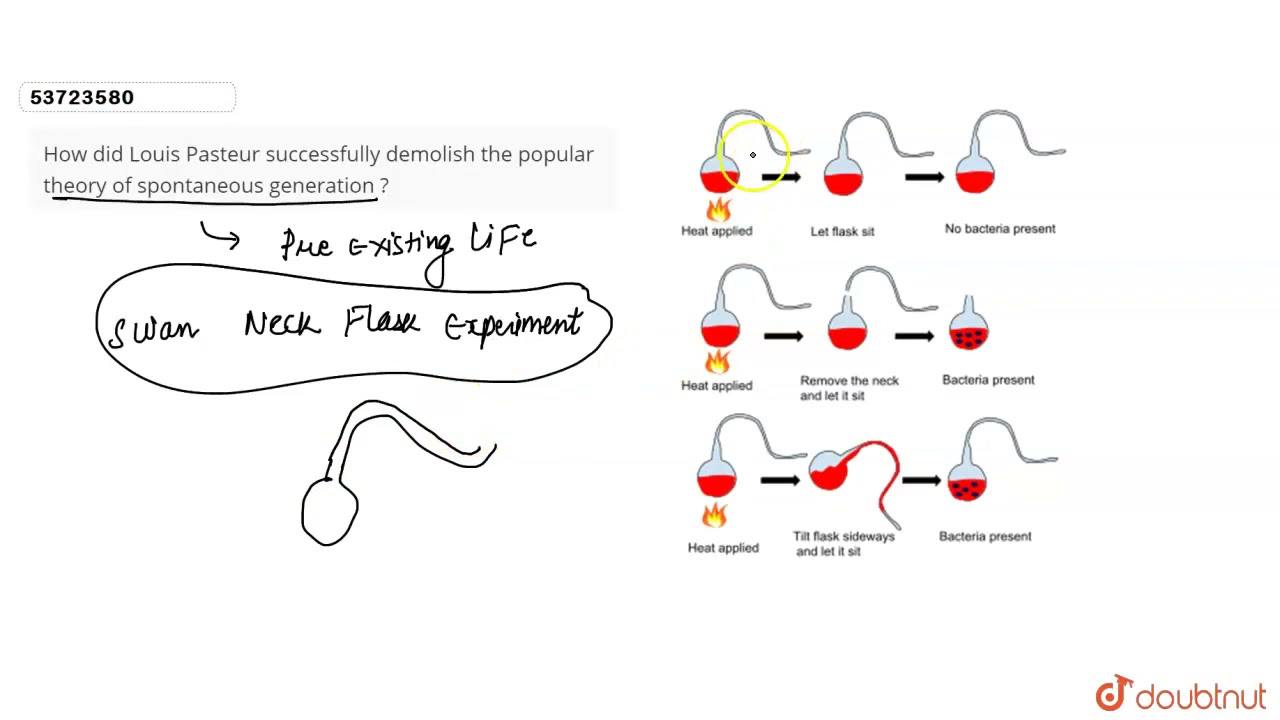 Louis Pasteur Germ Theory Experiment Louis Pasteur Germ Theory: