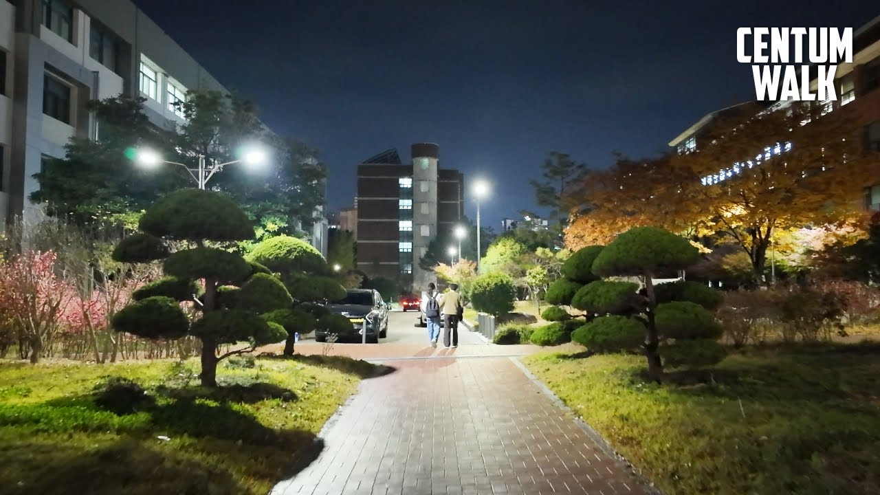 PuKyong National University autumn night walk | Busan walking tour ...