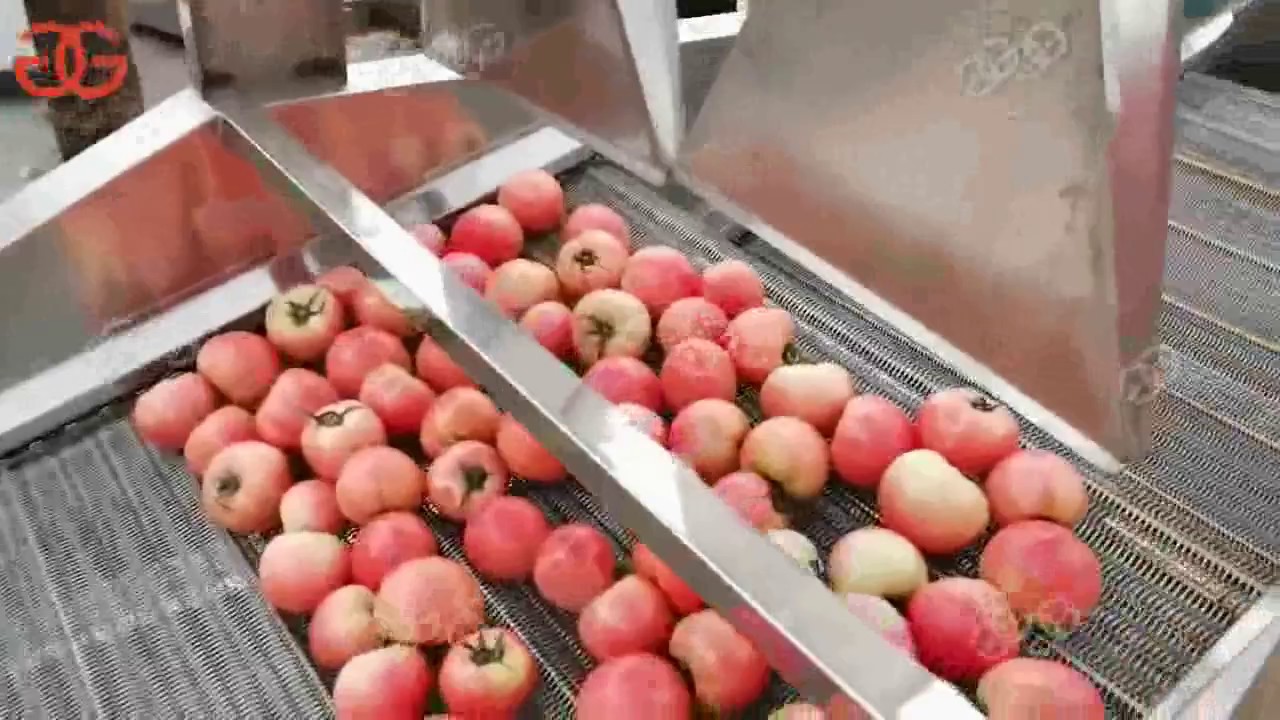GELGOOG Tomato Washing Machine|Commercial Fruit Vegetable Cleaning ...