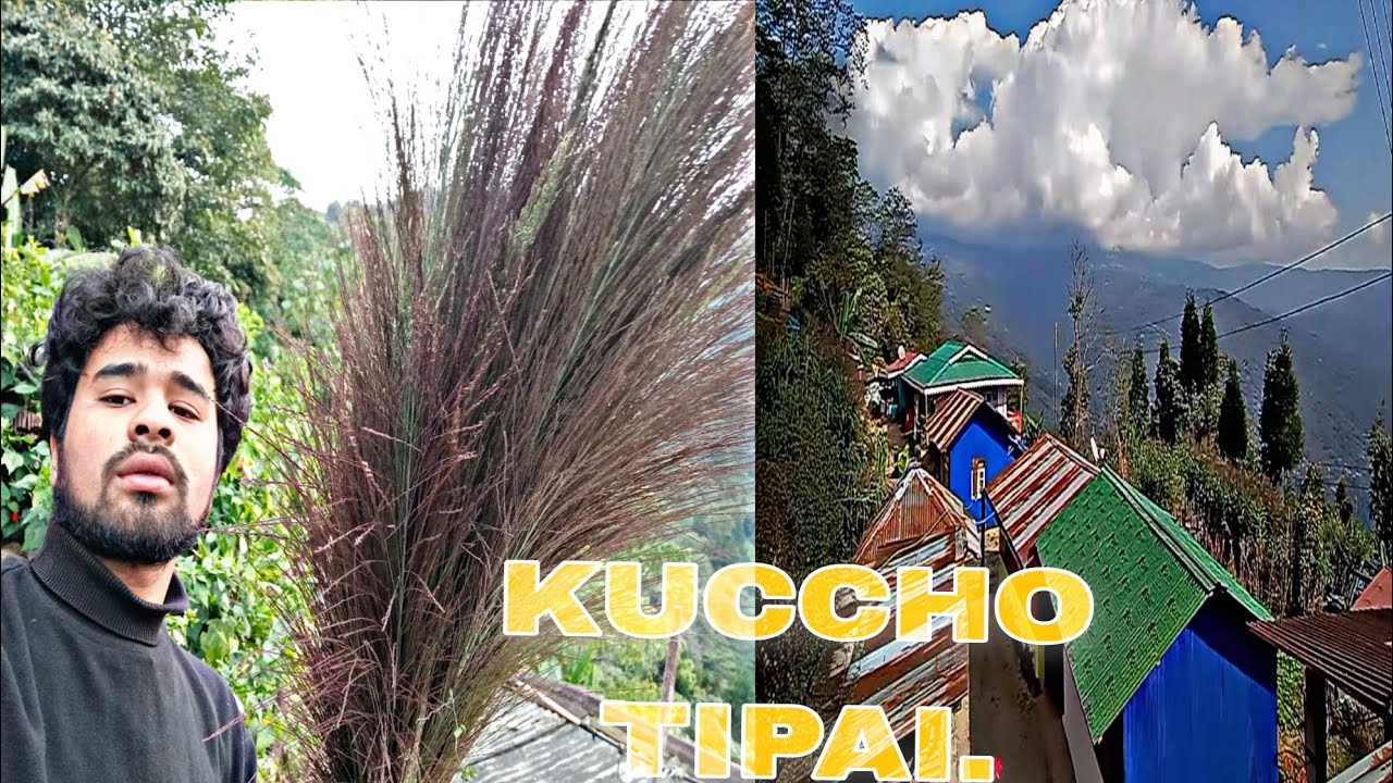 vlog-13 /broom stick/ghar ko kuchho tipai/nepalivillagelifestyle ...
