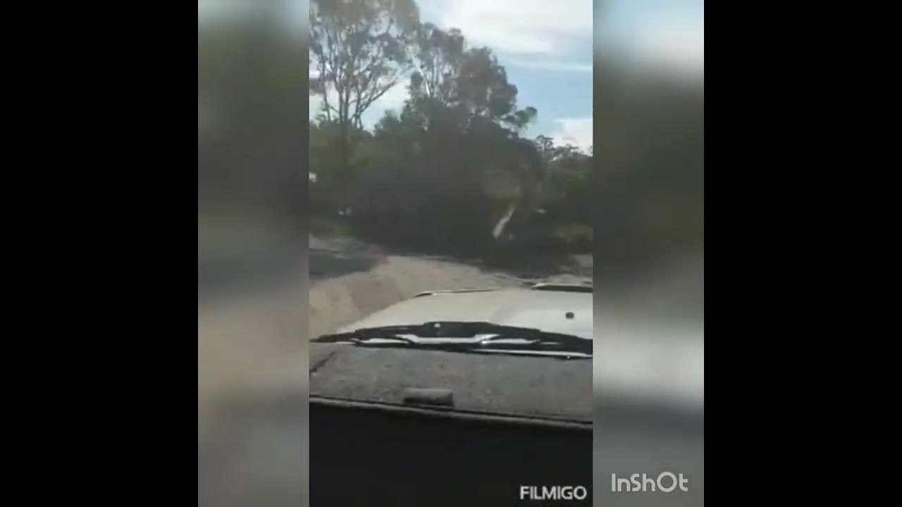 poverty Creek camping bribie island qld 2020 - YouTube