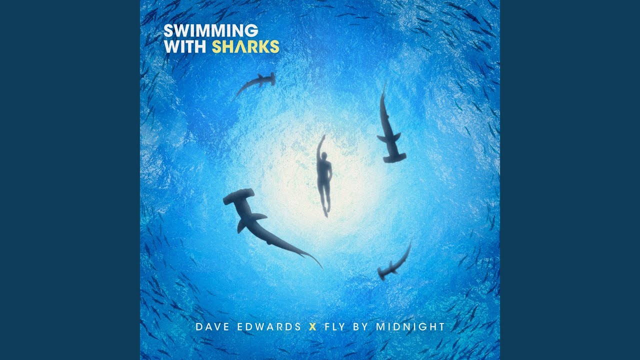 Swimming With Sharks - YouTube Music