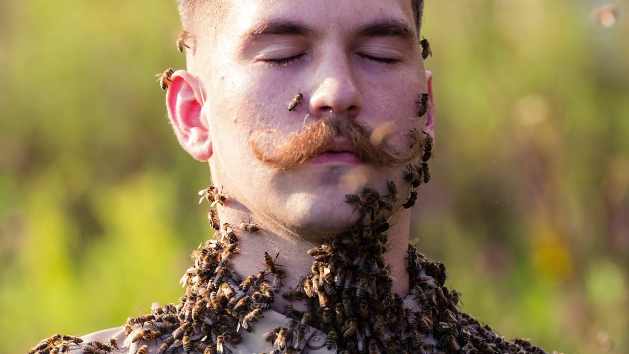 The Makings of a Bee Beard with ApiFarms Narrated - YouTube