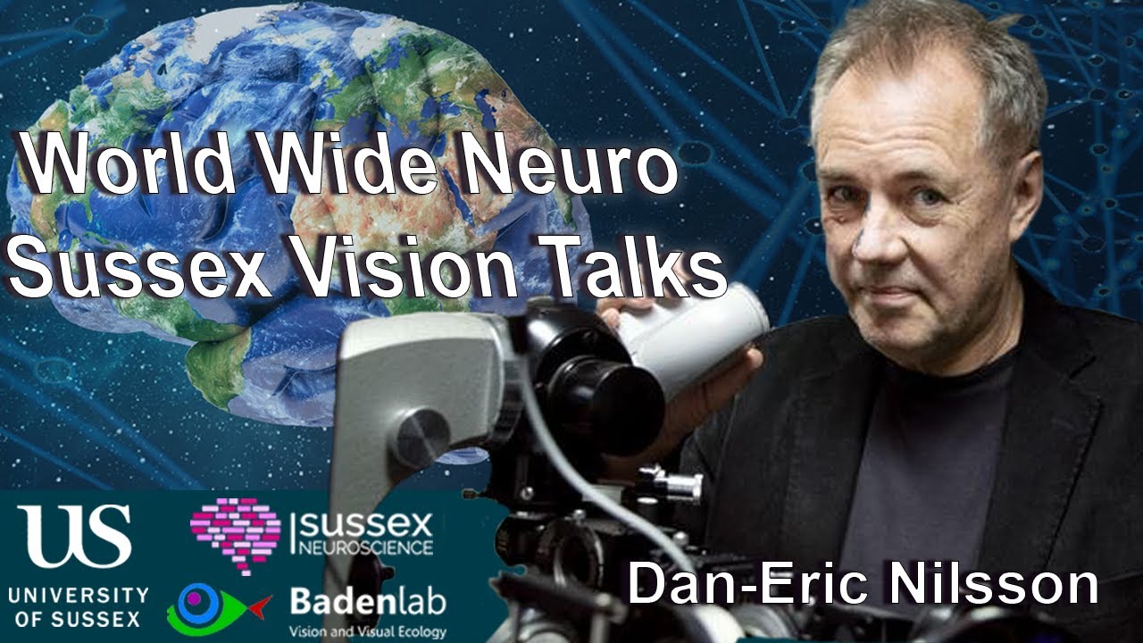 World Wide Neuro | Sussex Vision Series - 28/06/2021 - Dan-Eric Nilsson - YouTube