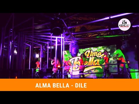 Alma Bella Yolanda Medina 2023 - Dile en vivo - YouTube