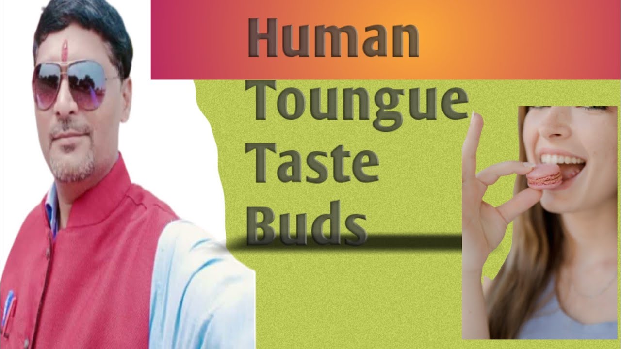 Activity taste buds of Human tongue - YouTube