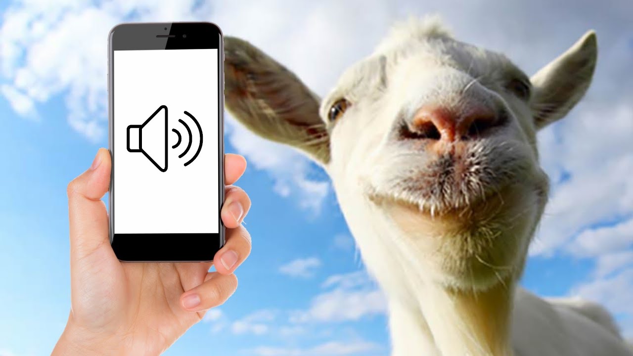 Happy Goat Baa Baa Sounds - YouTube
