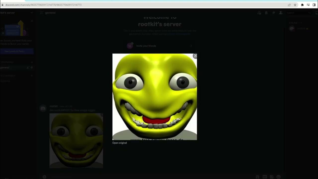 ROBLOX IMAGE LOGGER 2022 ( WORKING ) ( READ DESC ) ( NEW BEAMING METHOD ...