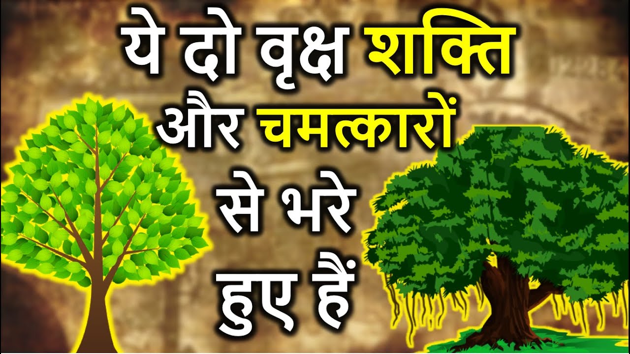 Why we worship Pipal & Bargad Tree in Hindu Dharma | पीपल और बरगद का ...
