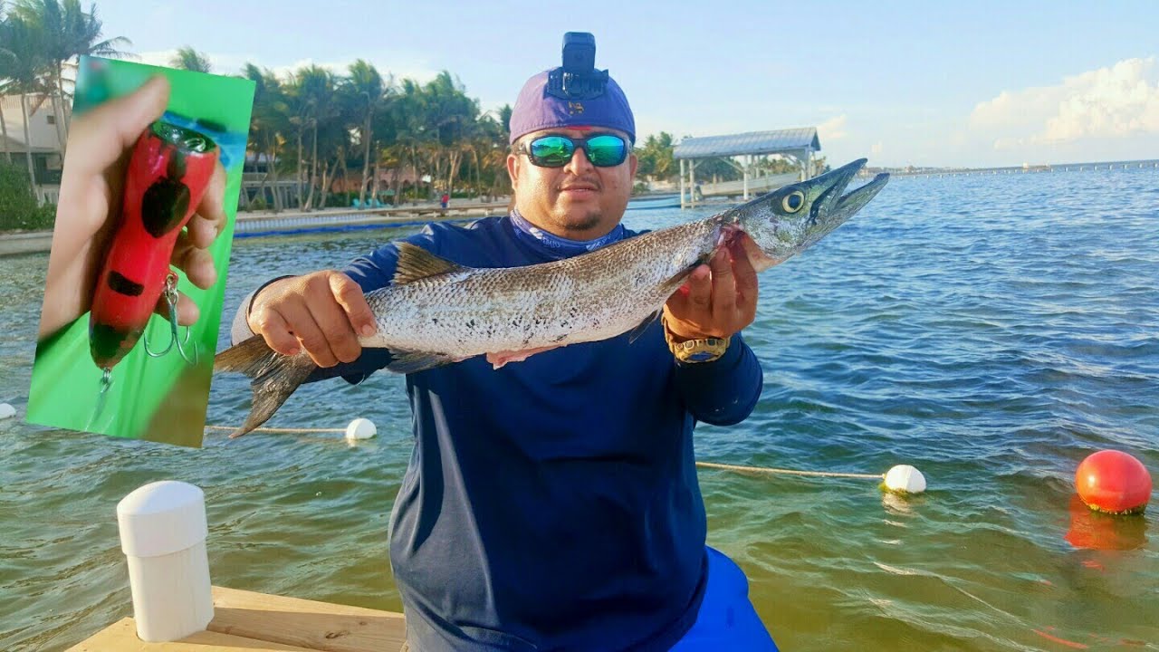 POPPER FISHING, BARRACUDA UNDER A MINUTE | TEAM JRUBIO - YouTube