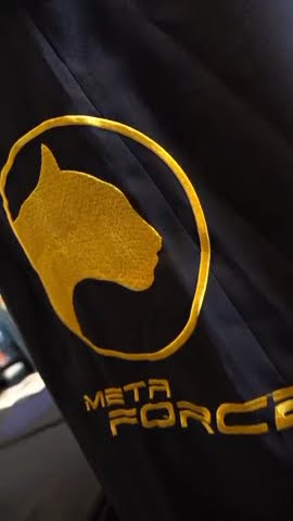 Meta Force Ecosystem is No. 1 - YouTube