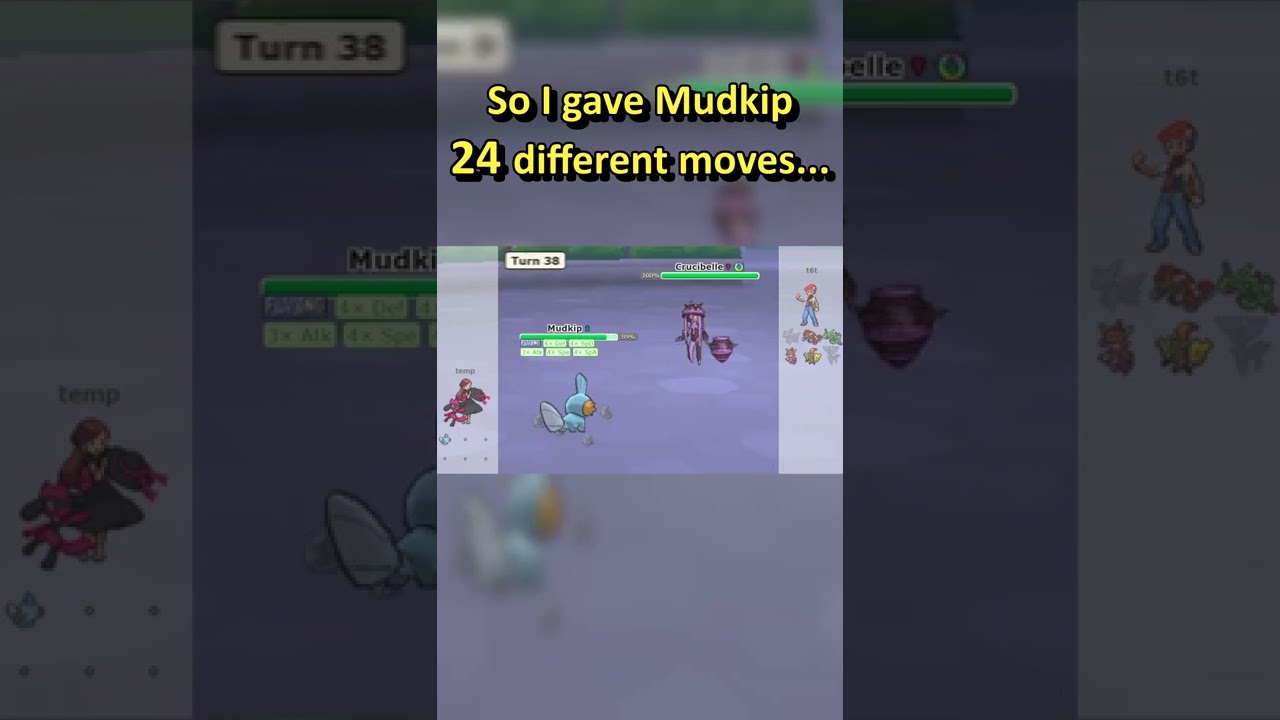 So I gave Mudkip 24 different moves... - YouTube