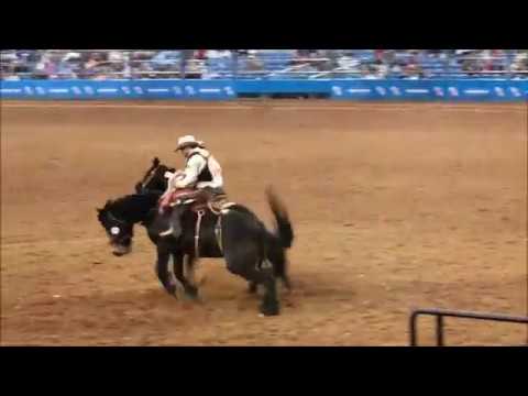 Houston Rodeo Scary Falls And Fun Bronco Bareback and Bull Rides March ...