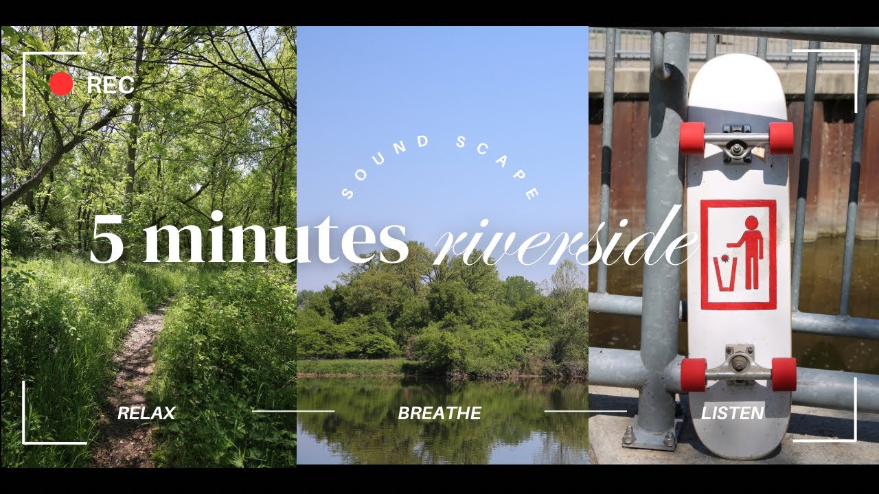 A Quick Break - 5 Minutes of Riverside Birdsong | ASMR - YouTube