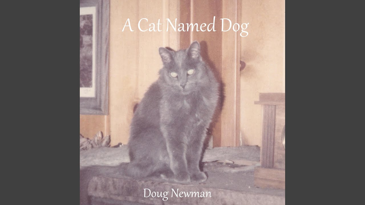 A Cat Named Dog - YouTube