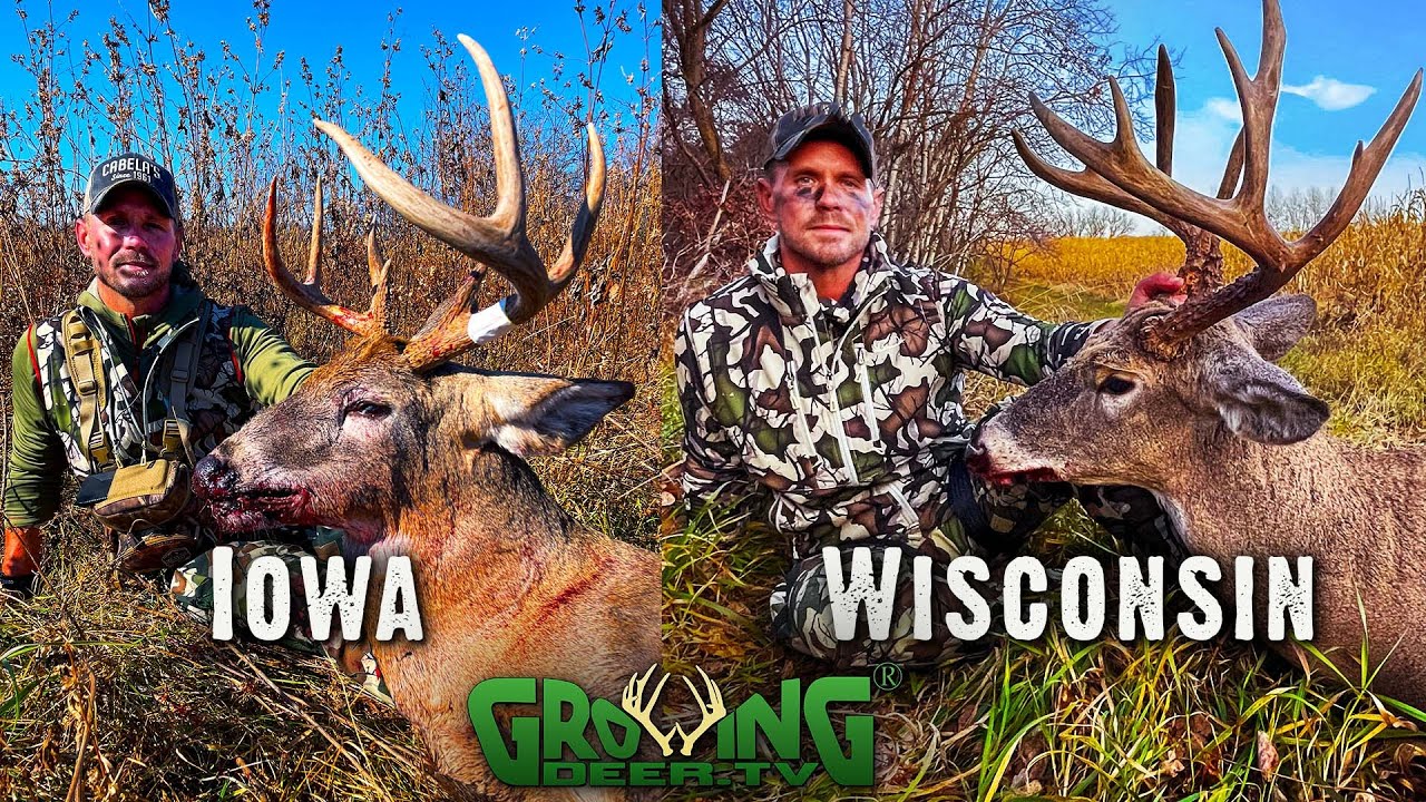 2 Bucks, 3 Days - Iowa and Wisconsin Bow Hunts (733) - YouTube