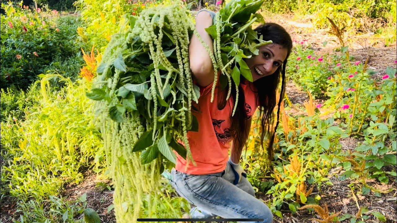 Cutting 12 buckets for Mary! - YouTube