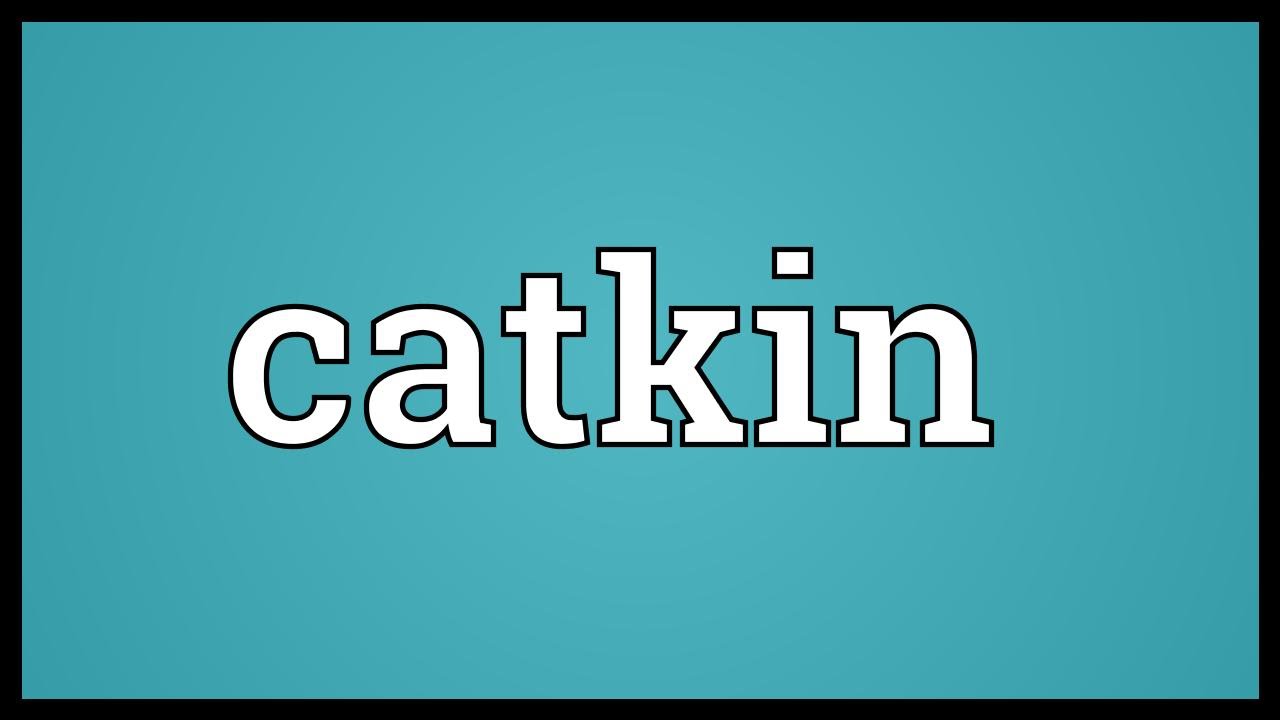 Catkin Meaning - YouTube