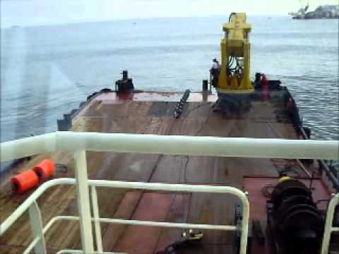Multicat - Stevshark shallow water II.wmv - YouTube