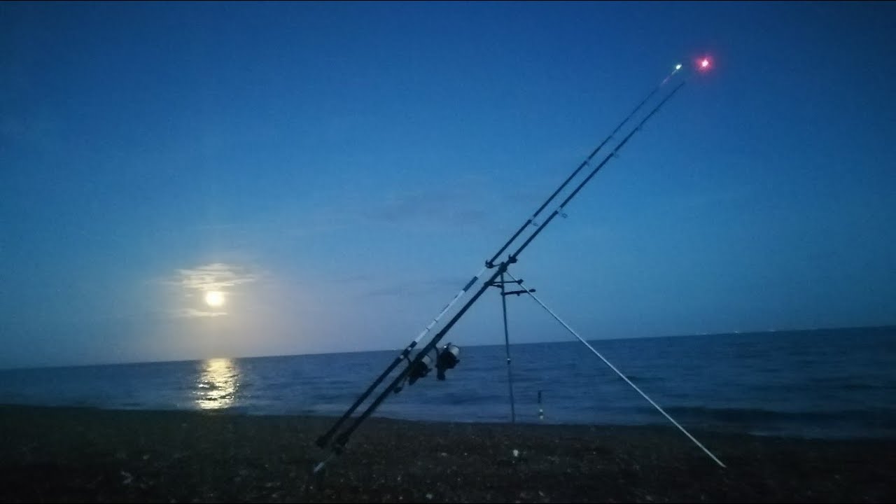 NIGHT FISHING AT SHOREHAM - BEACH FISHING AT NIGHT (UK SEA FISHING ...