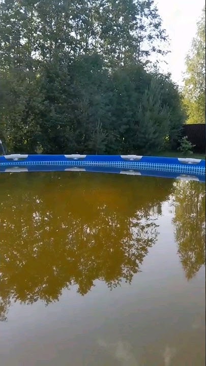 Во что превратила перекись воду в каркасном бассейне Интекс. #intex # ...